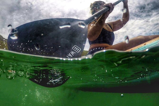 Stand up Paddle Experience at Lagos Do Sabor - Equipment and Inclusions