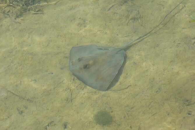 Stand up paddle in paradise - What the Reviews Say