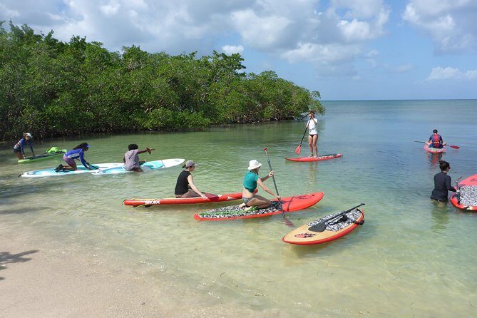 Stand up paddle in paradise - Who Will Love This Tour?