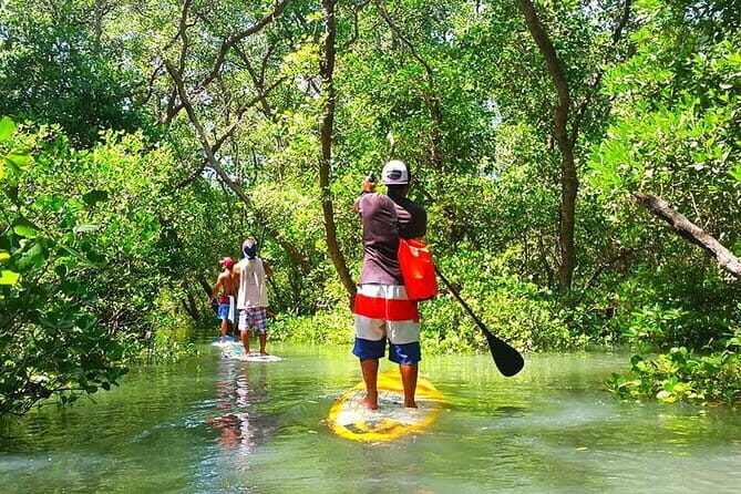 Stand Up Paddle Lesson Bali with Professional Instructor - The Sum Up