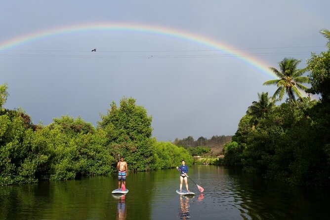 Stand Up Paddle Nature and Turtle tour-Guaranteed to see turtles - Key Points