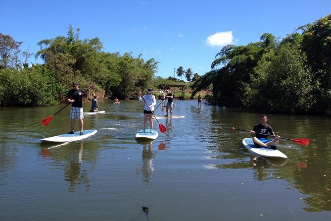 Stand Up Paddle Nature and Turtle tour-Guaranteed to see turtles - Practical Tips for Your Paddleboard Adventure