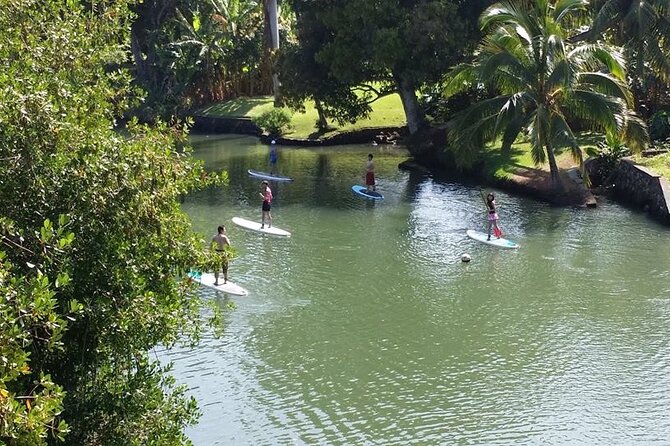 Stand Up Paddle Nature and Turtle tour-Guaranteed to see turtles - FAQs