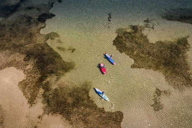 Stand-up-paddle on Laguna of Thau, rental, Sete - Authentic Reviews: What Others Are Saying