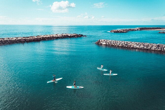 Stand Up Paddle Private Lesson in Calheta Beach - Introduction: Discover Madeira’s Coast from a New Perspective
