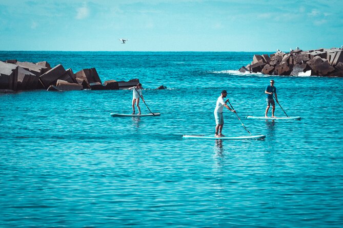 Stand Up Paddle Private Lesson in Calheta Beach - The Review Highlights: Authentic Experiences and Guided Expertise