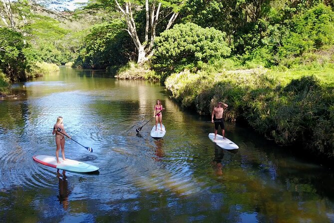 Stand Up Paddle Rental- Wailua River to Secret Falls - Private and Independent Tour