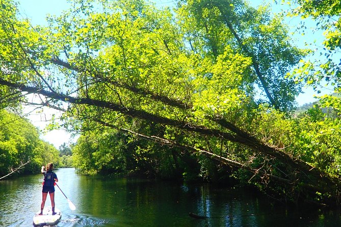 Stand Up Paddle Tour - What’s Included & Practical Details