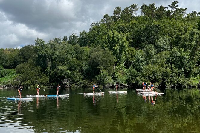 Stand Up Paddle Tour - Authentic Feedback from Past Paddlers