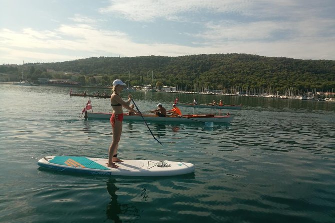 Stand Up Paddle Tour in Split - Pricing and Booking Details