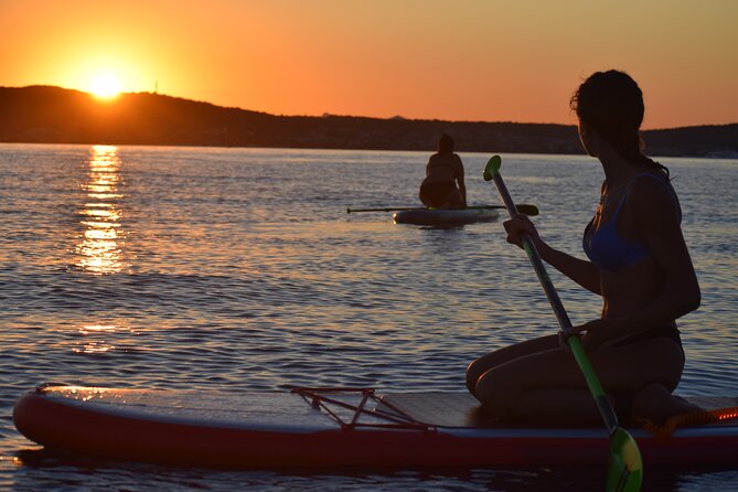 Stand Up Paddle With Dolphins Review - What to Expect on the Tour
