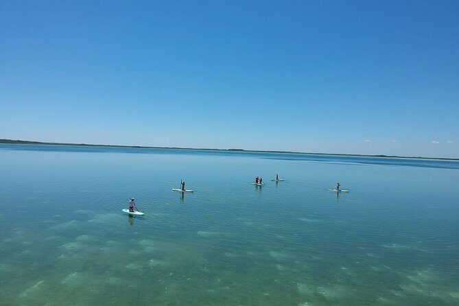 Stand Up Paddle Yoga Class at Private Lagoon - Who Is This Tour Best For?