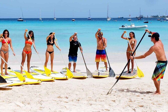 Stand Up Paddleboard Rental on St. Croix - A Closer Look at the Paddleboard Rental Experience