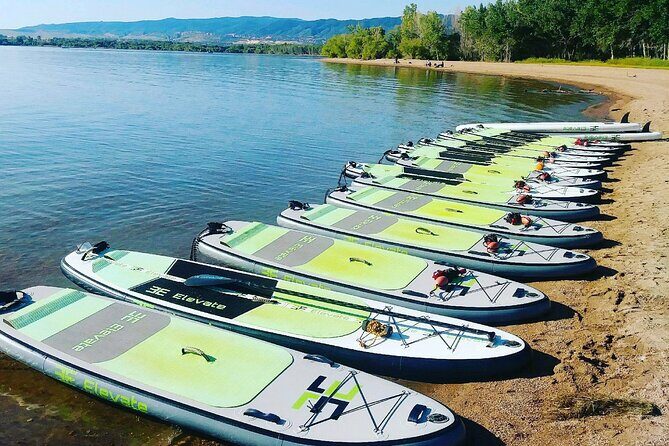 Stand Up Paddleboard Rentals - Who Would Enjoy This?