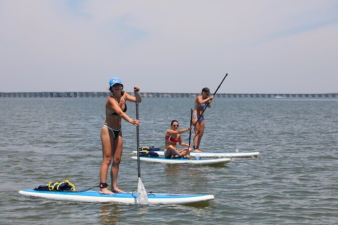 Stand Up Paddleboard Rentals in Ocean City, MD - The Value and Practical Details