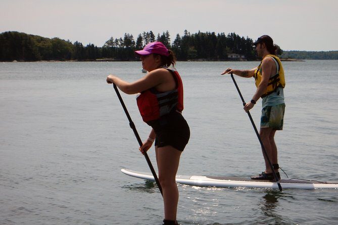 Stand Up Paddleboard Tour with Complimentary Oyster Tasting - Who Should Consider This Tour?