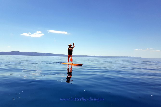 Stand up paddling board for 2 hours rental - Introduction: An Authentic Coastal Escape with Stand-Up Paddleboarding