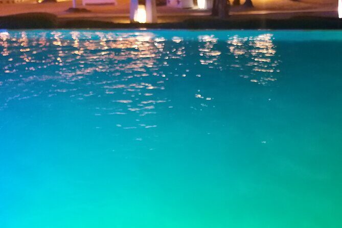 standard and premium transfer from punta cana airport to las terrenas - Price and Value Analysis