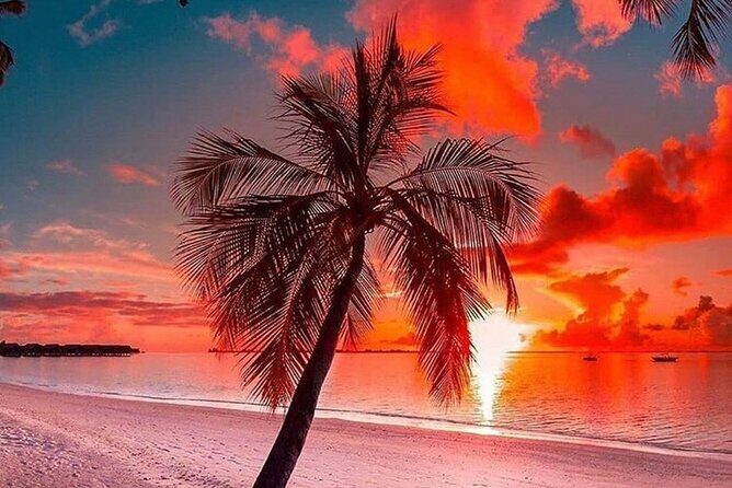 standard and premium transfer from punta cana airport to las terrenas - FAQ