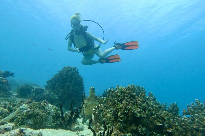StandUp PaddleBoard Lesson and Experience Scuba Diving Package! - An Introduction to Guam’s Water Adventures