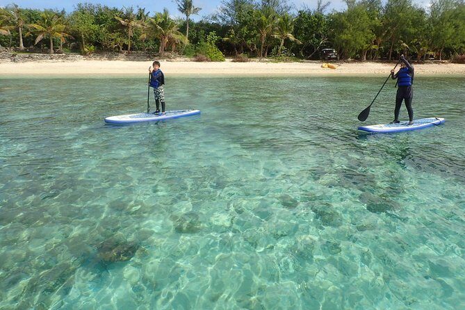 StandUp PaddleBoard Lesson and Experience Scuba Diving Package! - Who Should Book This Tour?