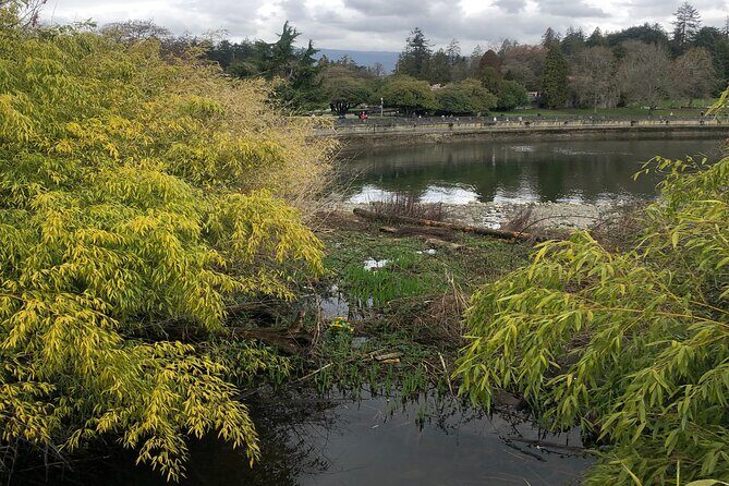 Stanley Park Bike Adventure with Lux Car Pick Up Affordable Easy - What to Expect: Practical Details