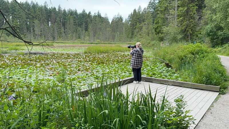 Stanley Park EUC & E-scooters loop tour - Authentic Experiences and Reviewer Perspectives