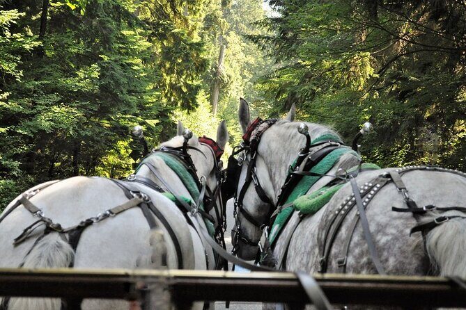 Stanley Park Horse-Drawn Tour - The Sum Up