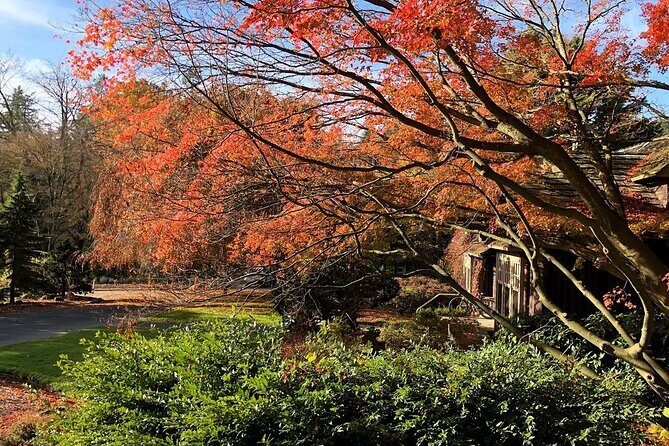 Stanley Park Horse-Drawn Tour - FAQ