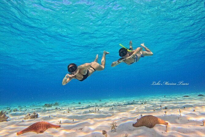Star and Turtle Sanctuary Snorkeling Tour in Cozumel - Who Will Enjoy This Experience?