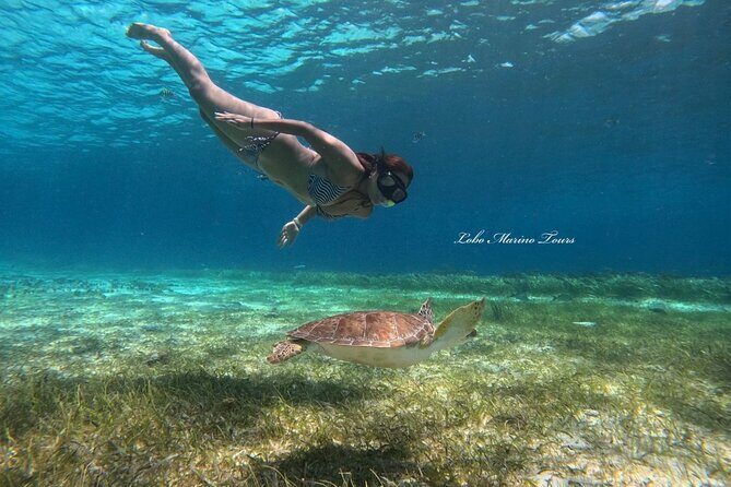 Star and Turtle Sanctuary Snorkeling Tour in Cozumel - FAQs