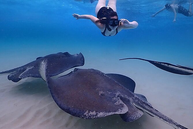 Starfish and Stingray City Fun Tour with Reef Snorkeling- 3 stops - Final Thoughts: Who Will Love This Tour?