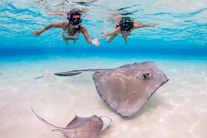 Starfish and Stingray City Fun Tour with Reef Snorkeling- 3 stops - FAQs