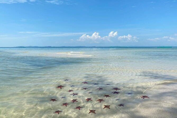 Starfish Beach Trip In Phu Quoc Island - Pricing & Value Analysis