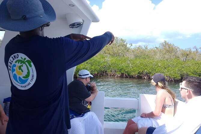 Starfish Encounter & Mangrove Exploration in Grand Cayman - Final Thoughts