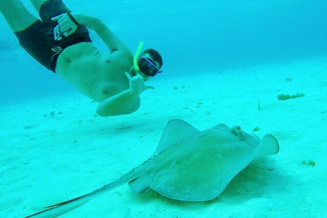 Starfish, Stingrays and the Turtle Sanctuary Snorkeling Tour - Who Will Appreciate This Tour?