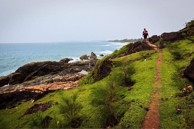 Stargazing Nights in the Kodachadri Forest - Discovering Kodachadri: A Natural Heritage Site