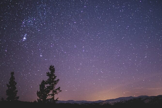 Stargazing Nights in the Kodachadri Forest - Why This Tour Offers Great Value