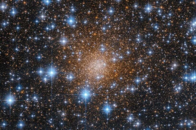 Stargazing Tour in Kapalua - Practical Details and Considerations