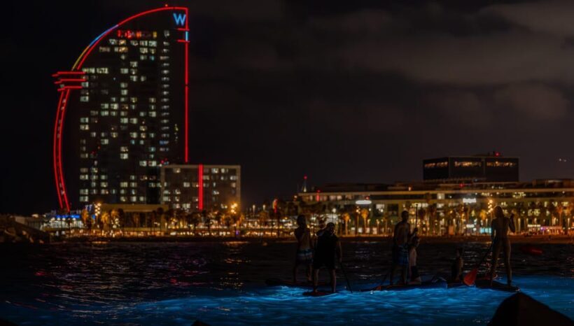 Starlight Paddlesurf during the night in Barcelona - Whats Included—and What It Means for You