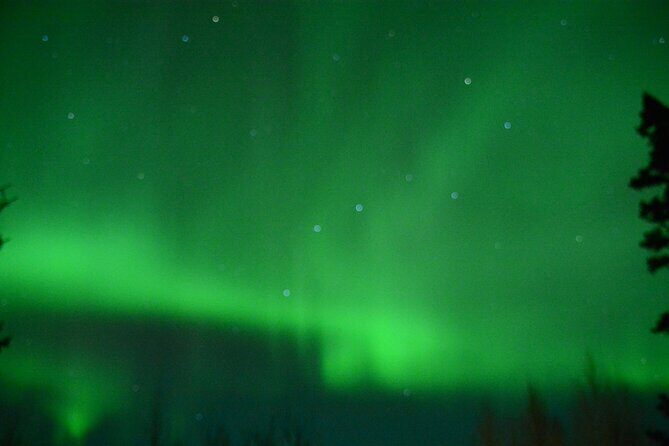 Starlight Snowshoe Adventure in Alaska - Final Thoughts
