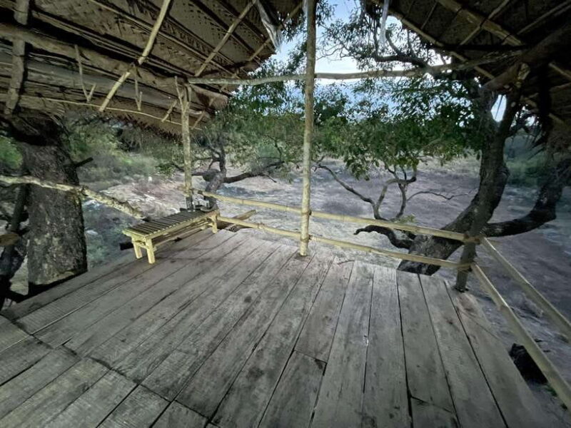 Starlit Escape: Stargazing from a tree hut in Sigiriya - Key Points