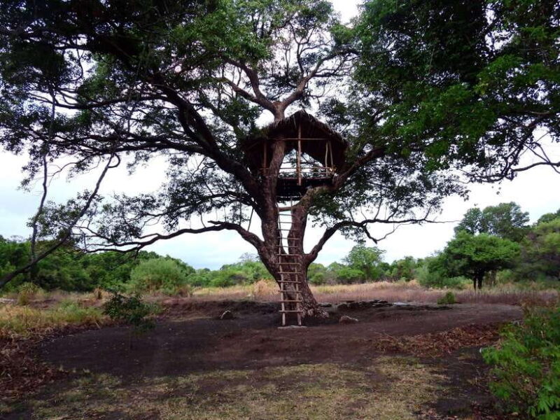 Starlit Escape: Stargazing from a tree hut in Sigiriya - Practical Considerations for Your Stay