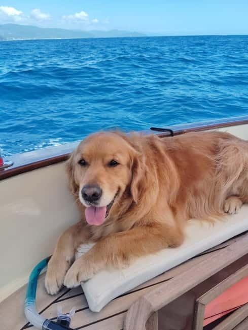 Starlit Luxury Boat Charter with Aperitif in Portofino - Final Thoughts