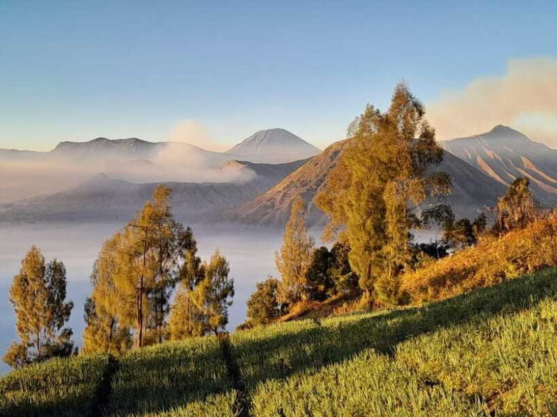 Start From Surabaya: Mount Bromo Sunrise Shared Guided Tour - Who Is This Tour Best For?