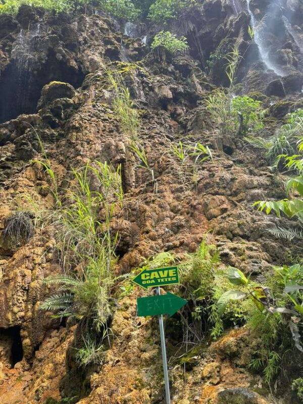 Start: Malang! Tumpak Sewu, Bromo, Ijen 3-Day Tour - Final Thoughts