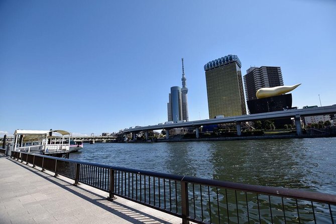 Starter Tour in Tokyo _Visiting Must-See Spots and Practical Guidance - Meeting and Pickup