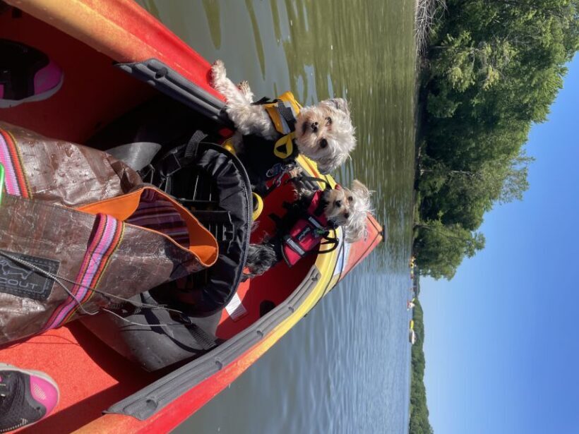 Starved Rock State Park: Guided Kayaking Tour - Practical Details: What’s Included and What to Bring