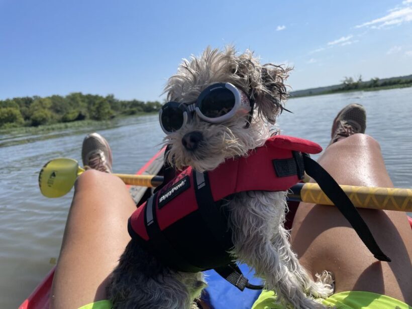 Starved Rock State Park: Guided Kayaking Tour - Authentic Experiences Verified by Reviews