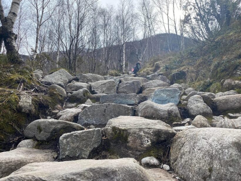 Stavanger: Manafossen Waterfall & Candle Factory Guided Tour - Who Should Consider This Tour?